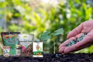 Soil Application – Swaroop Home Garden