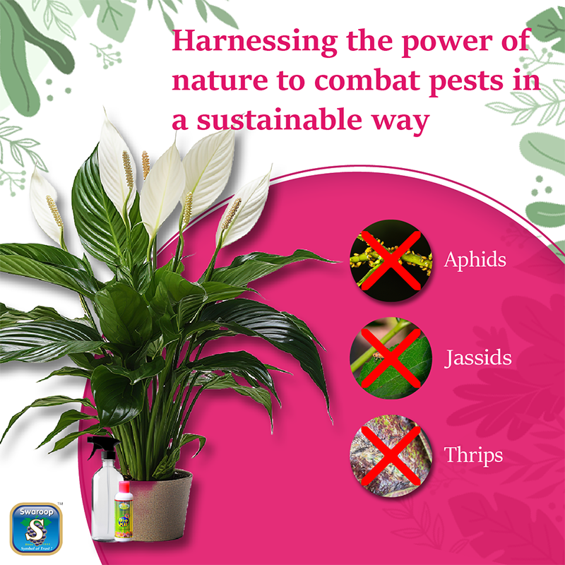 Biokil - 100 ml – Swaroop Home Garden