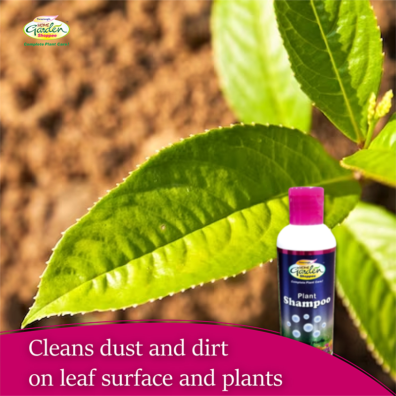 Plant Shampoo - 100 ml – Swaroop Home Garden