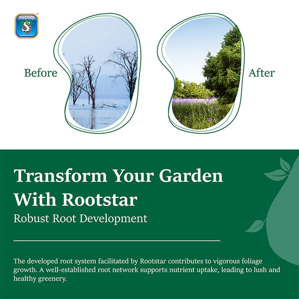 Rootstar - Plant Roots Growth Booster with Humus for Profuse Root Form ...
